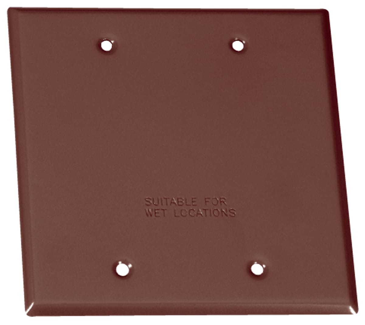 Two-Gang Blank Cover | Sigma Engineered Solutions